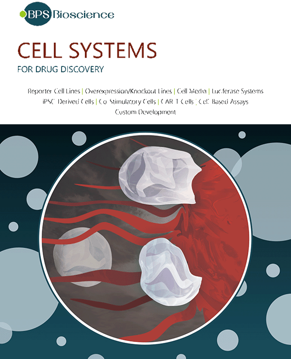 HeLa, CHO, HEK293T, Jurkat and More: Cell Lines from BPS Bioscience for Your Research