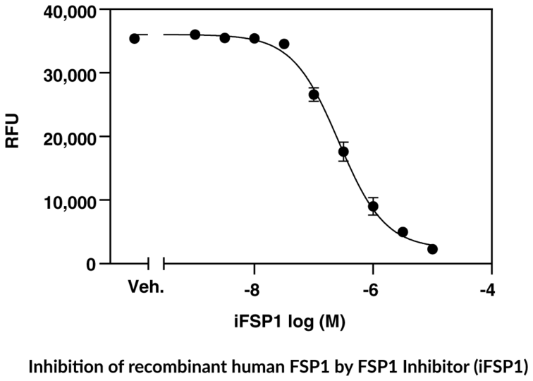 The Ferroptosis Pathway: Structure, Function, and Modulation