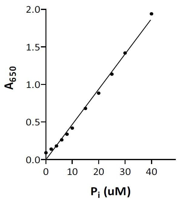 Guide to Enzyme Unit Definitions and Assay Design