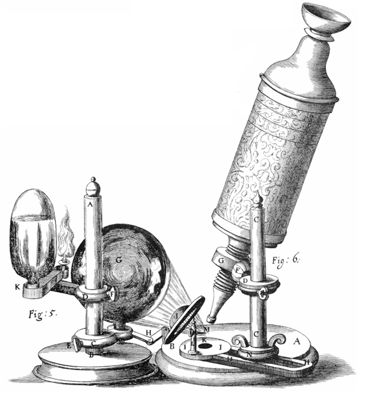 From Microscope to Organelle - the Discovery of the Hemifusome